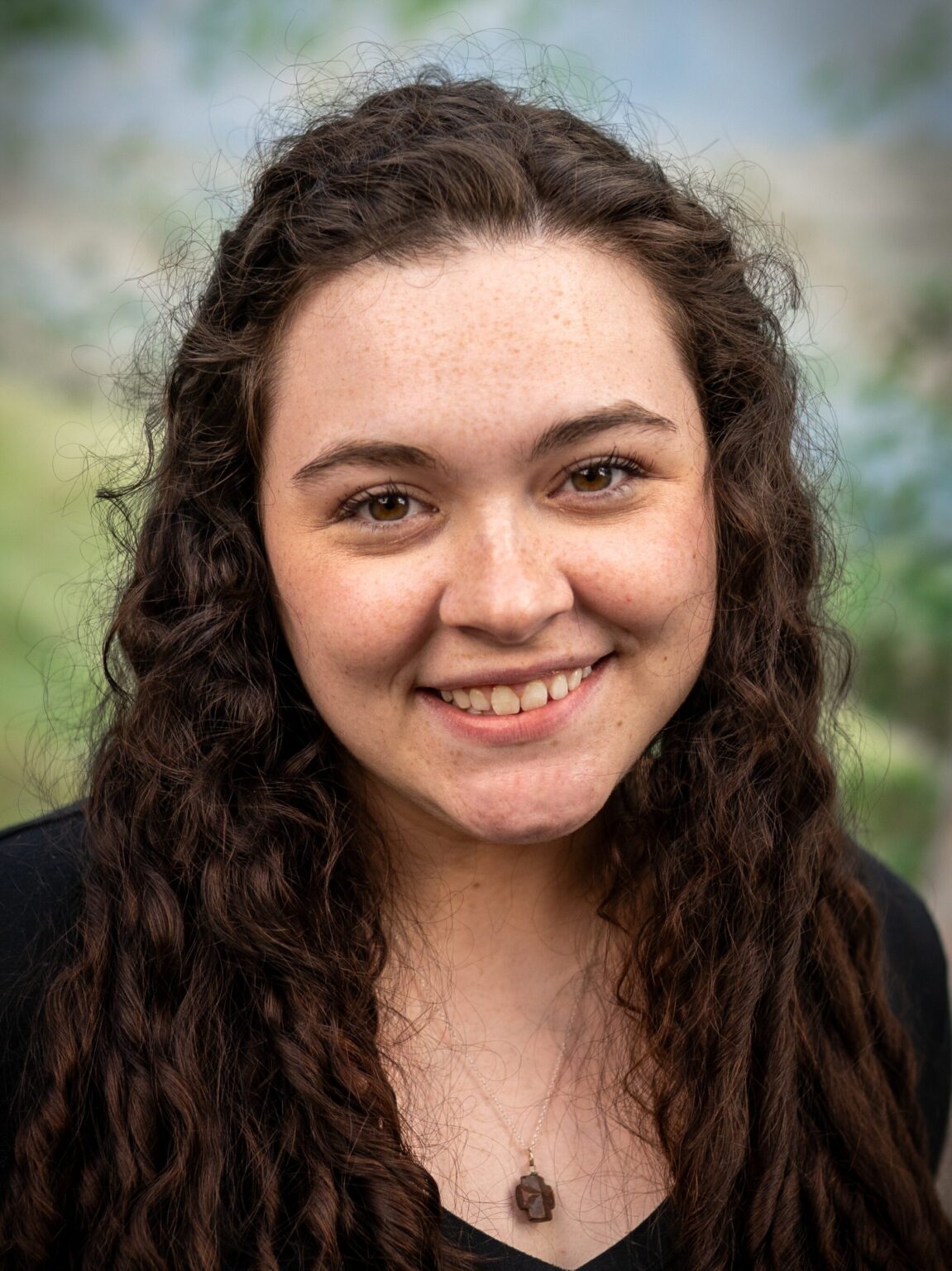 Cast List – Trail of the Lonesome Pine Outdoor Drama